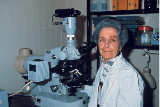 Rita Levi-Montalcini: Celebrating Italian American Heritage Month ...